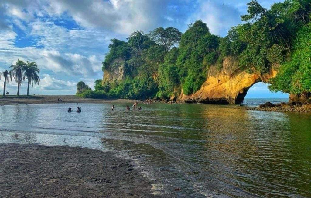 EXPLORA LA BIODIVERSIDAD DE TUMACO: DESCUBRE UN TESORO NATURAL ESCONDIDO